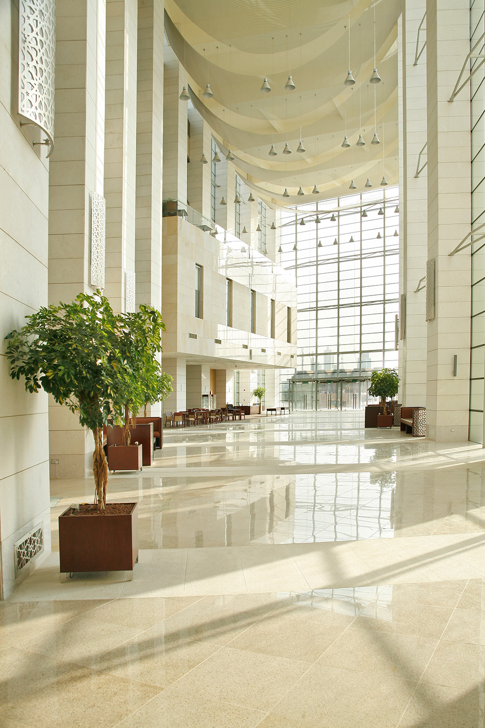 Information and culture in the National Library in Kuwait