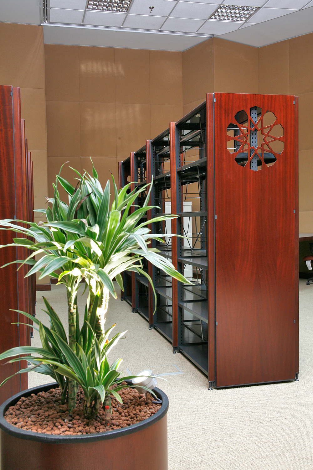 Information and culture in the National Library in Kuwait