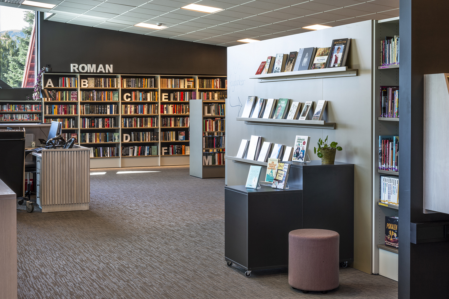 Ål Public Library, Norway