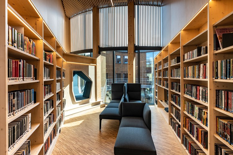 Biophilic materials and patterns