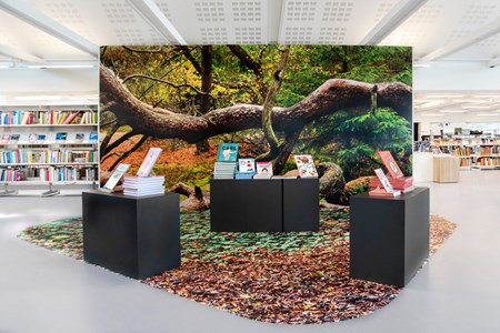 Find inspiration in our Library Gallery